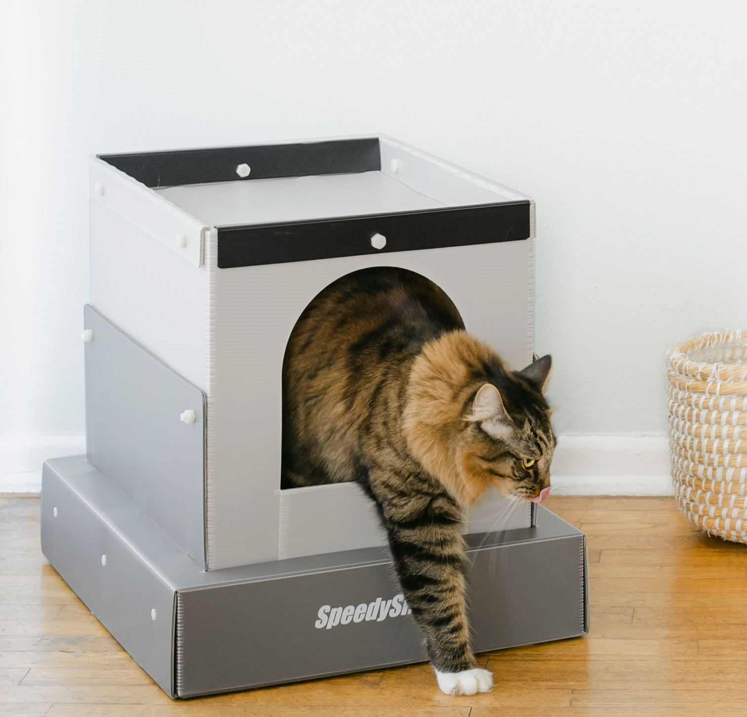 Corrugated Plastic Litter Box – SpeedySift